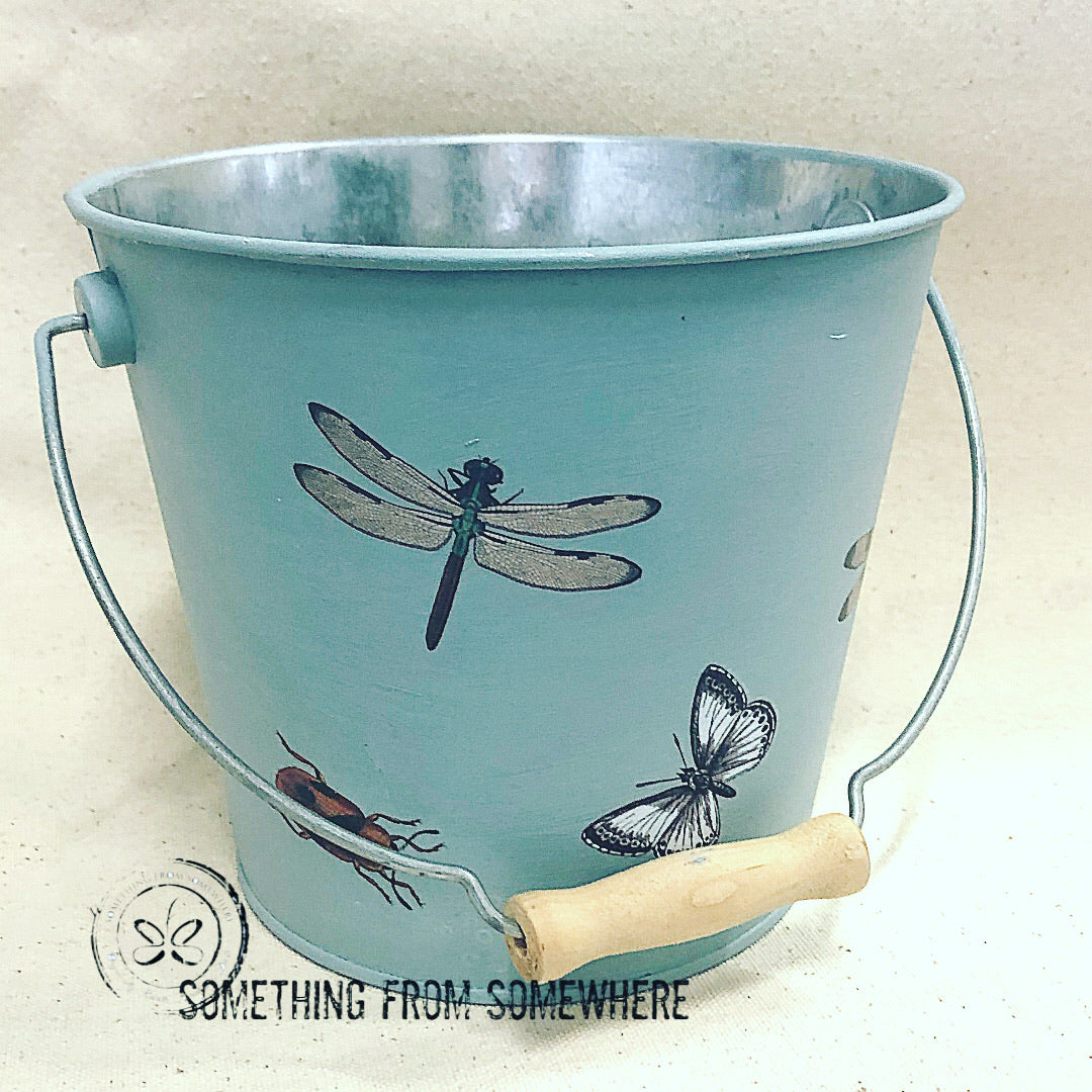 Entomology Bucket – SOMETHING FROM SOMEWHERE